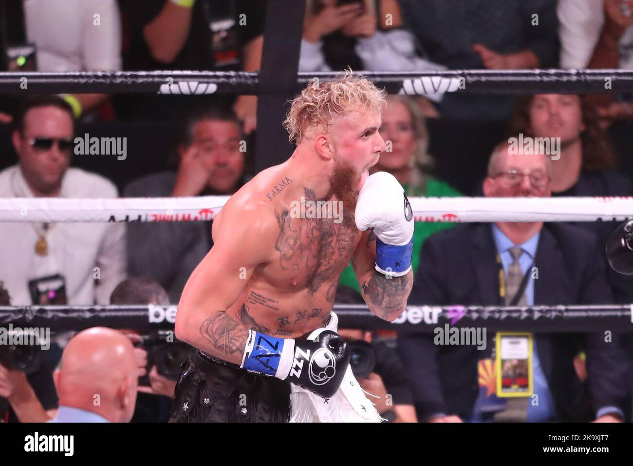 GLENDALE, AZ - OCTOBER 29: Jake Paul and Anderson Silva meet in the ...