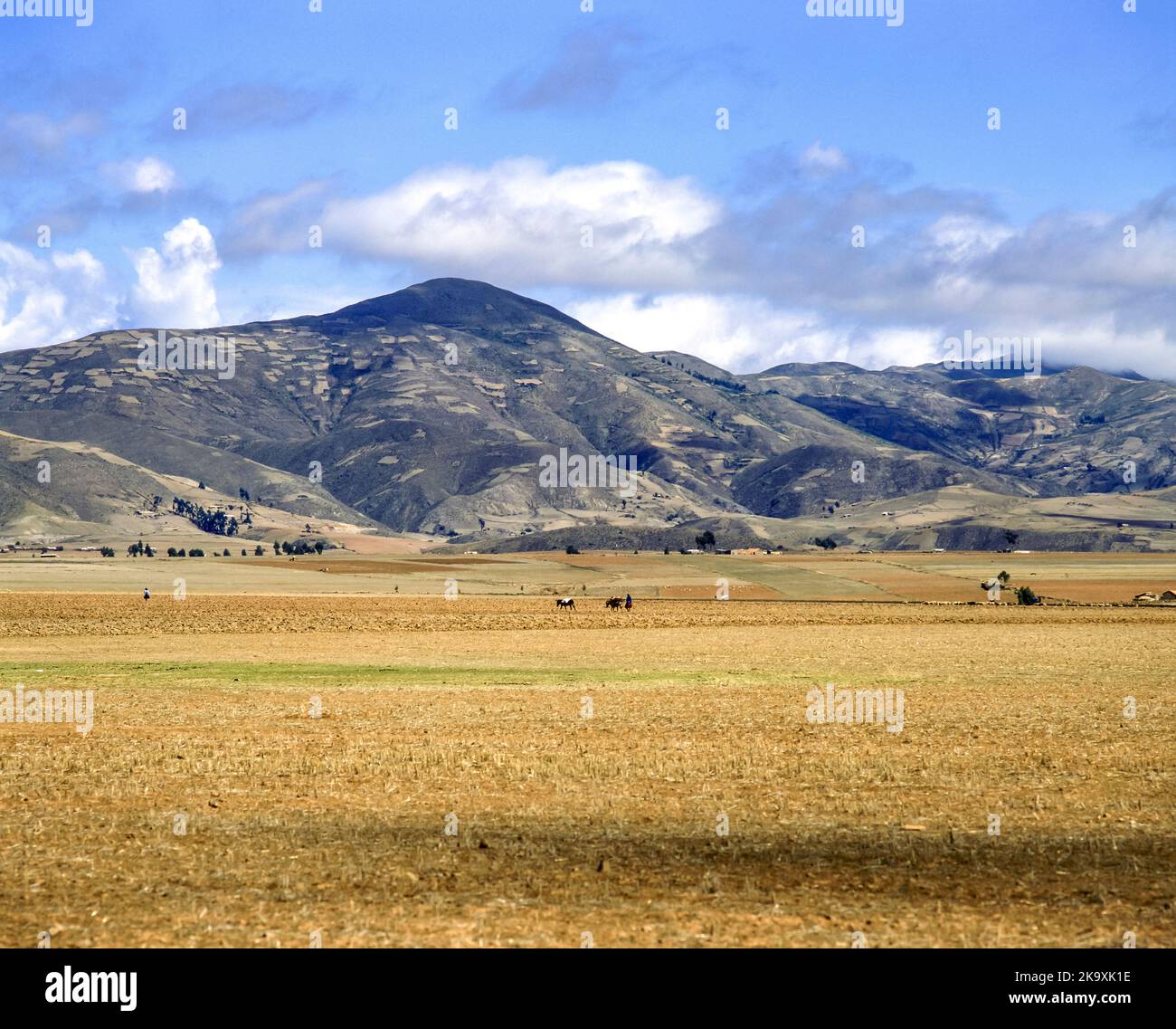 Andean highlands in the department of Potosí,Bolivia,indigenous ...