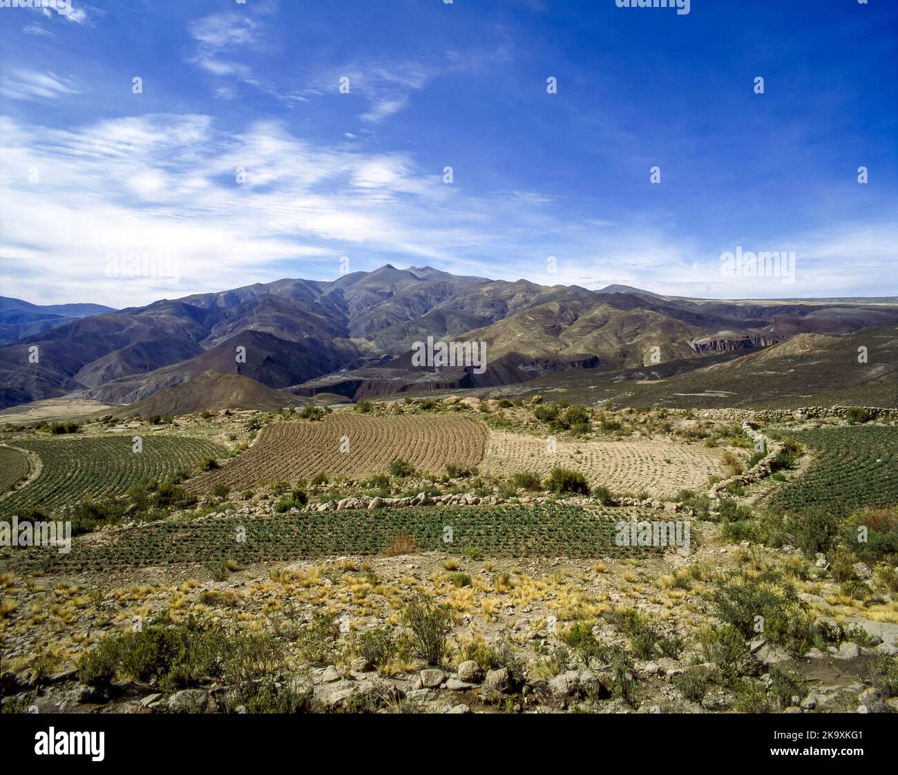 Andean highlands in the department of Potosí,Bolivia,Pilcomayo valley ...