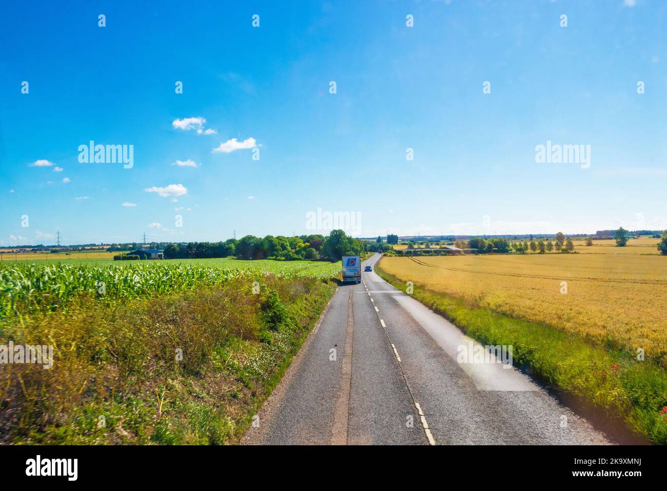 Ripe cereal crops fertile field along A28road,UK. The A28 is a trunk ...