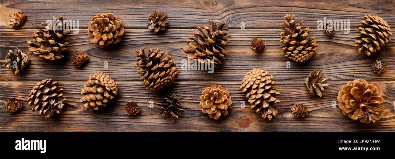 Christmas pine cones on colored paper border composition. Christmas ...