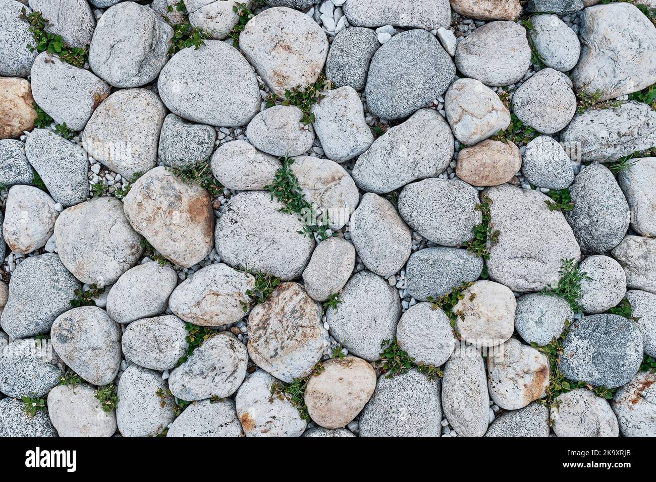 Pavement from cobblestone with sprouted grass. View from above Stock ...