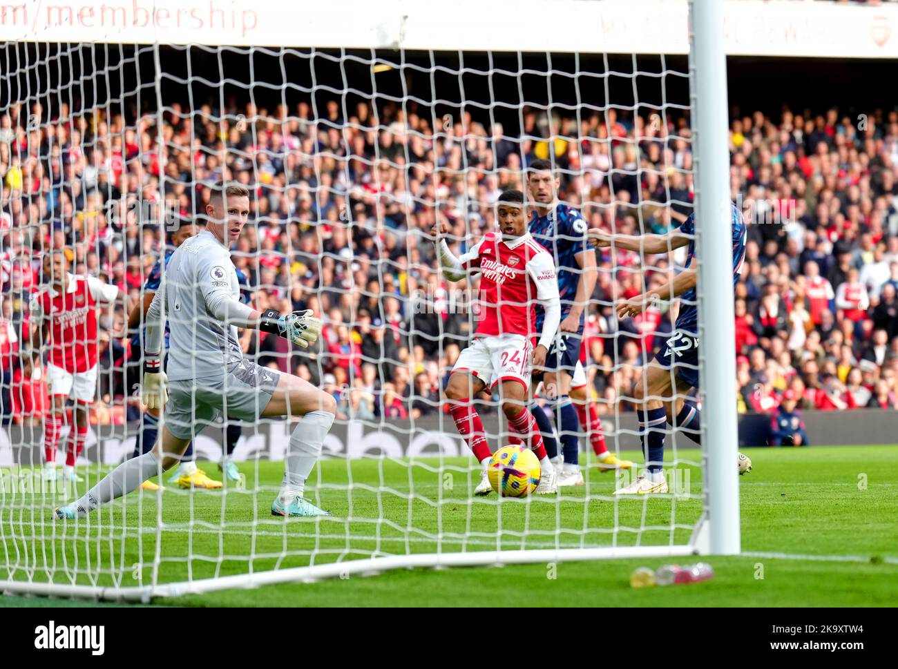 Reiss nelson forest october 2022 hi-res stock photography and images ...