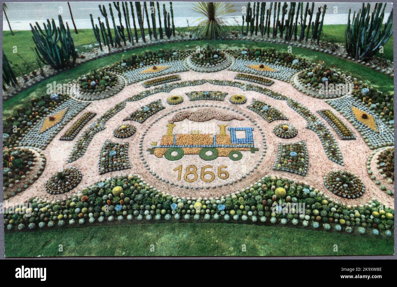 Cactus planting in Carl Johans Park in Norrköping. The 100th ...