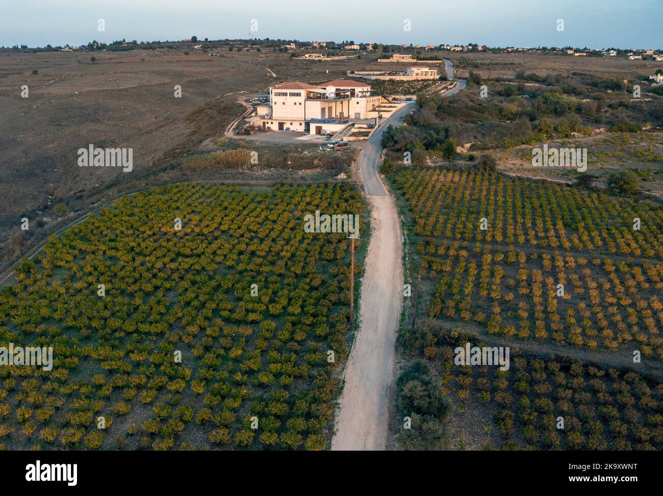 Aerial view vineyards at the Vasilikon winery, located at the village ...