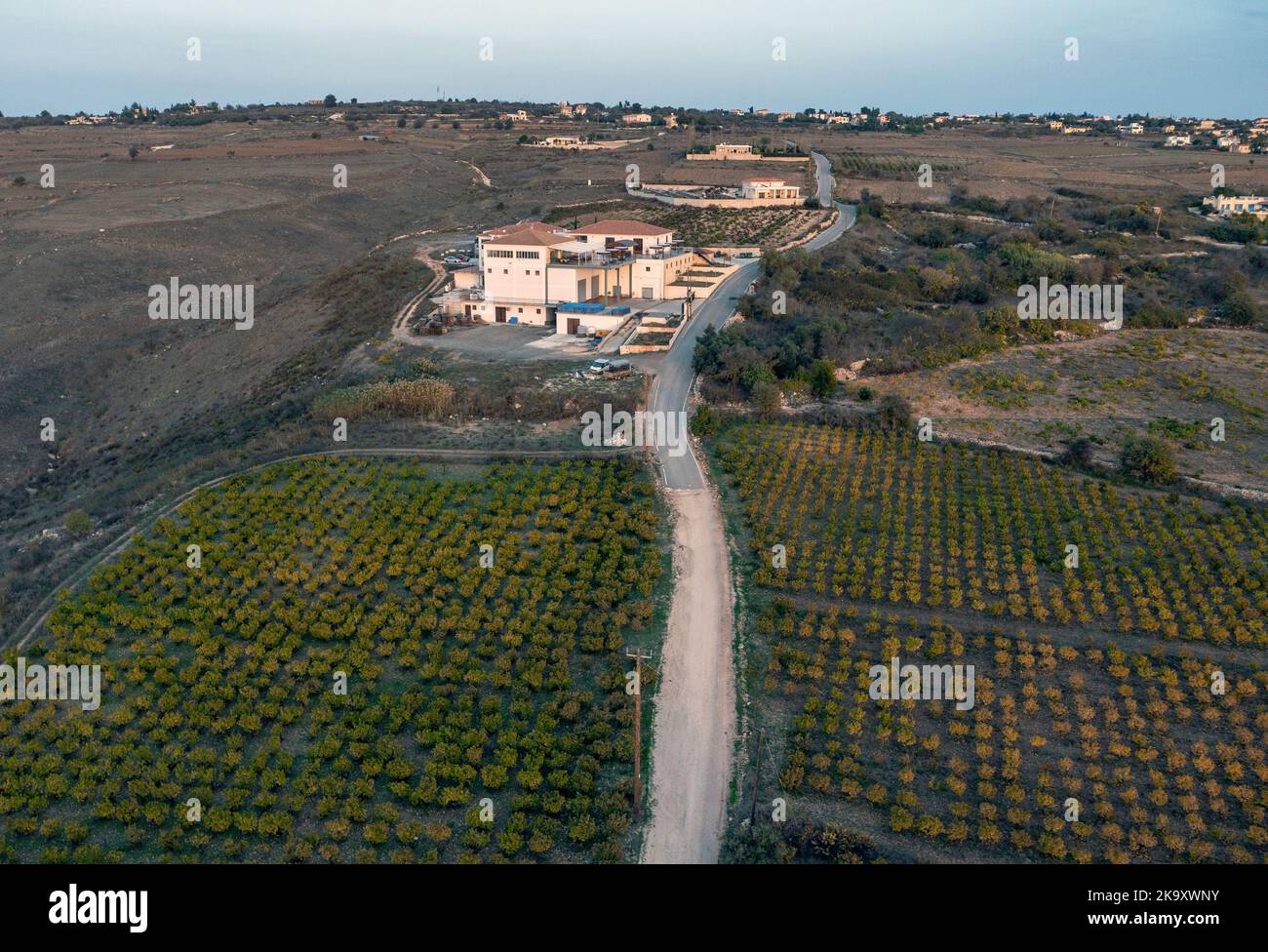 Aerial view vineyards at the Vasilikon winery, located at the village ...