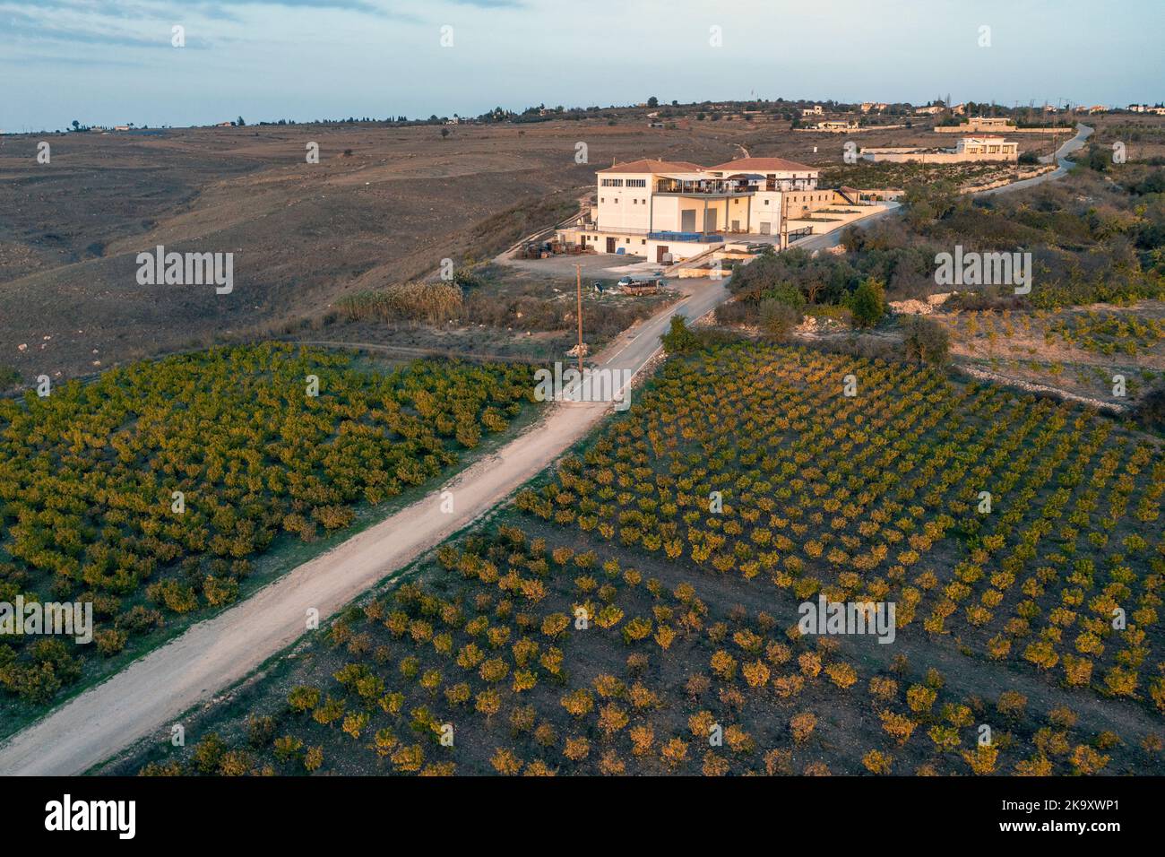 Aerial view vineyards at the Vasilikon winery, located at the village ...