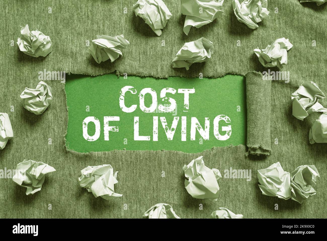 Conceptual caption Cost Of Living. Business overview Software used in ...