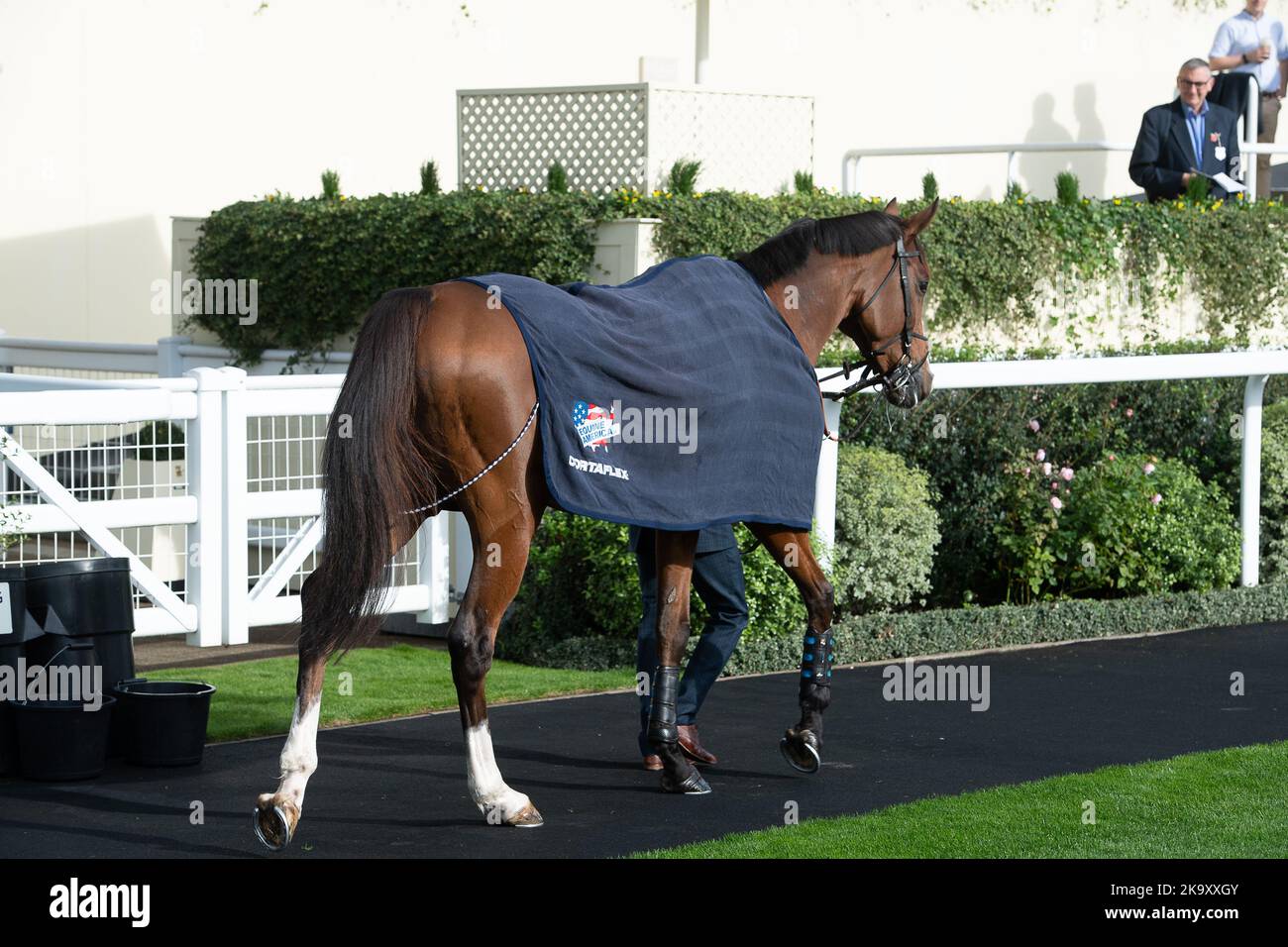 Novice four years old and upwards hi-res stock photography and images ...