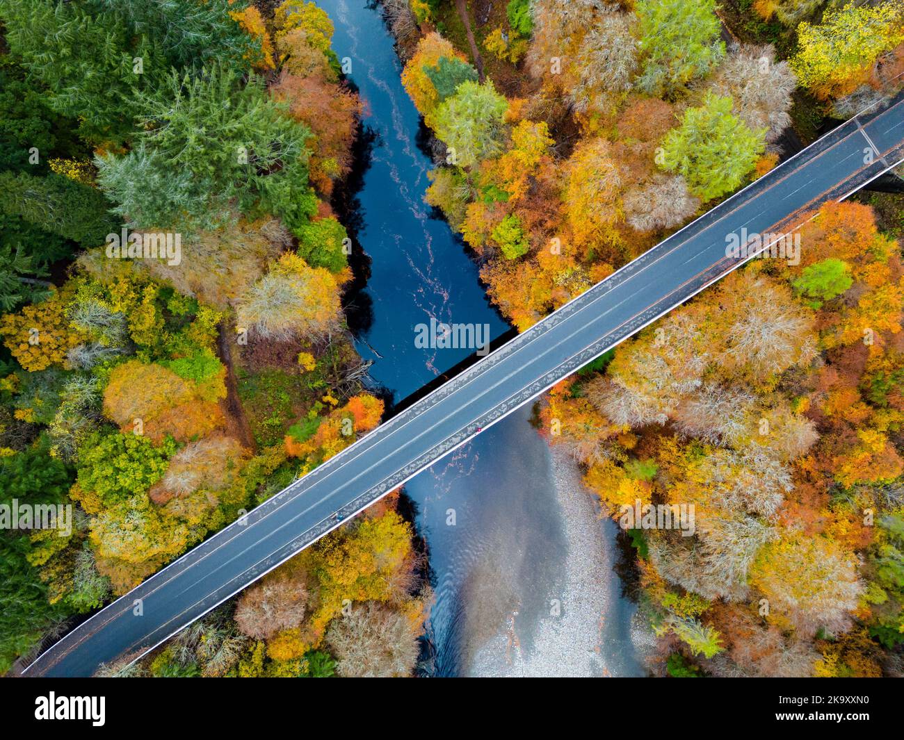 Aerial view of spectacular late autumn colours in trees beside the ...