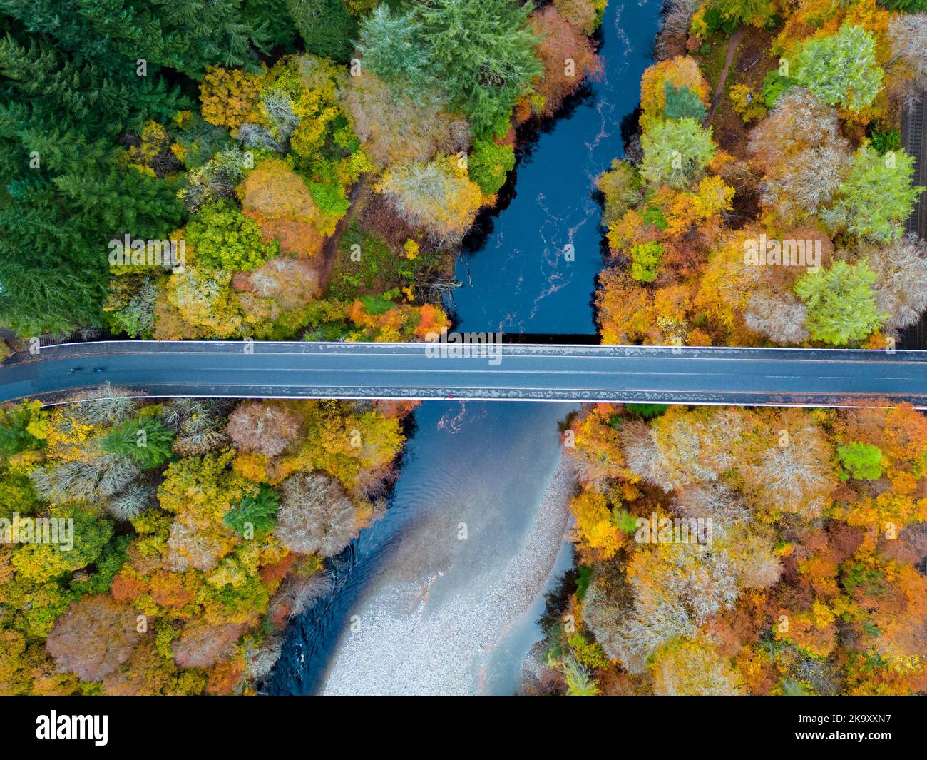 Aerial view of spectacular late autumn colours in trees beside the ...