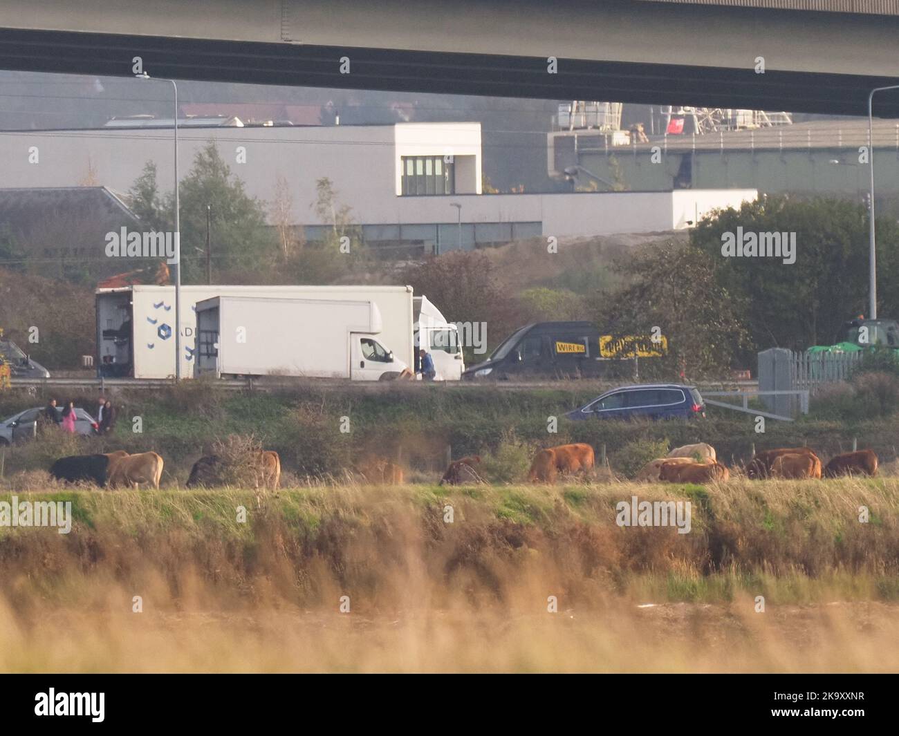 Jason statham the beekeeper hi-res stock photography and images - Alamy