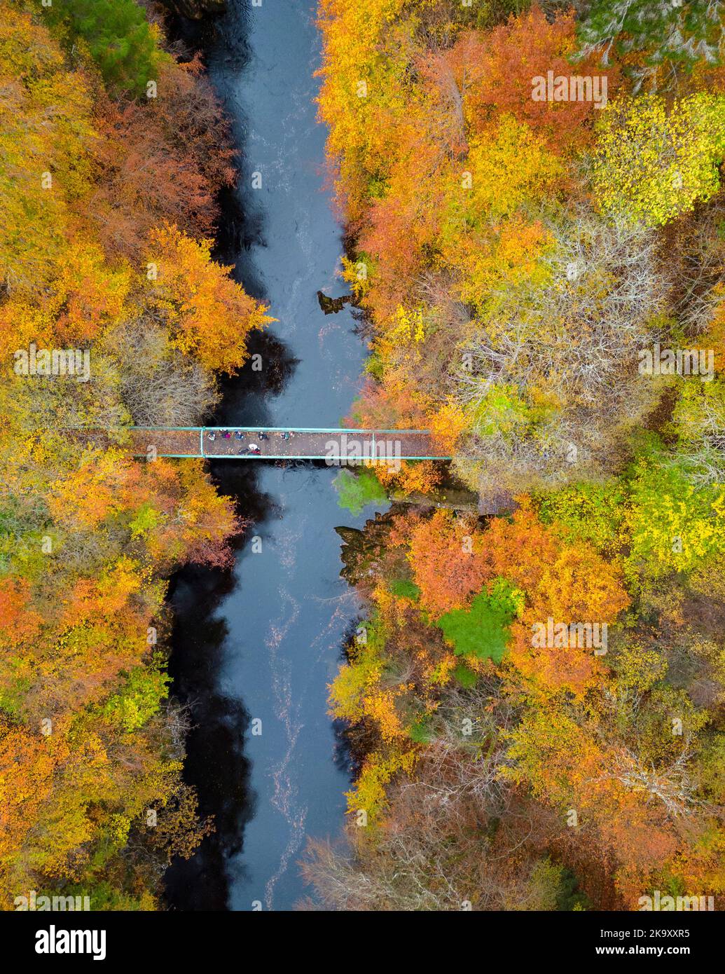 Late autumn forest aerial hi-res stock photography and images - Alamy