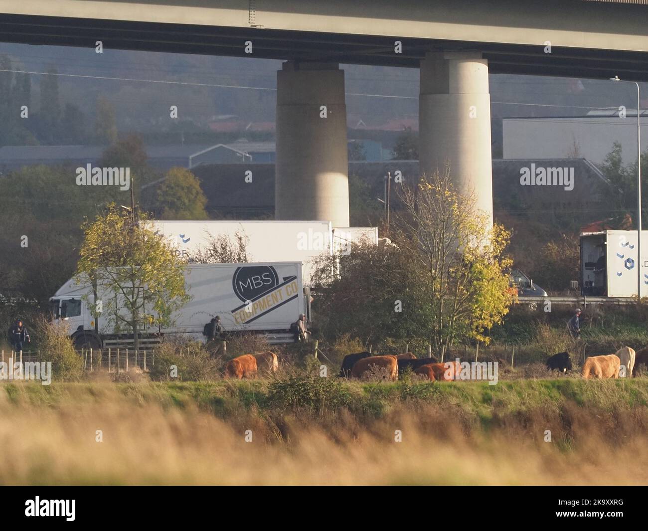 Jason statham the beekeeper hi-res stock photography and images - Alamy