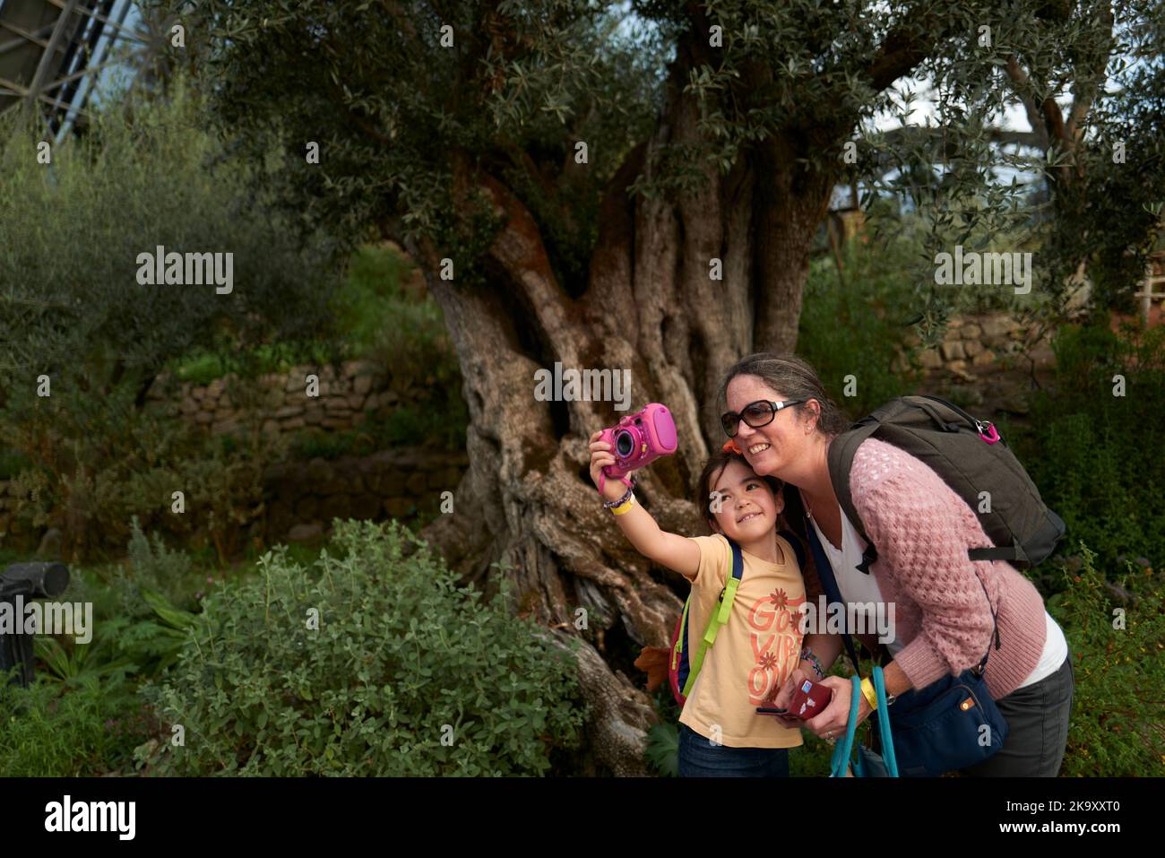 A family enjoy a day out, taking photos in front of an olive tree in ...