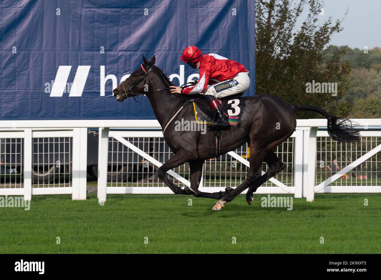 Owner options o syndicate hi-res stock photography and images - Alamy