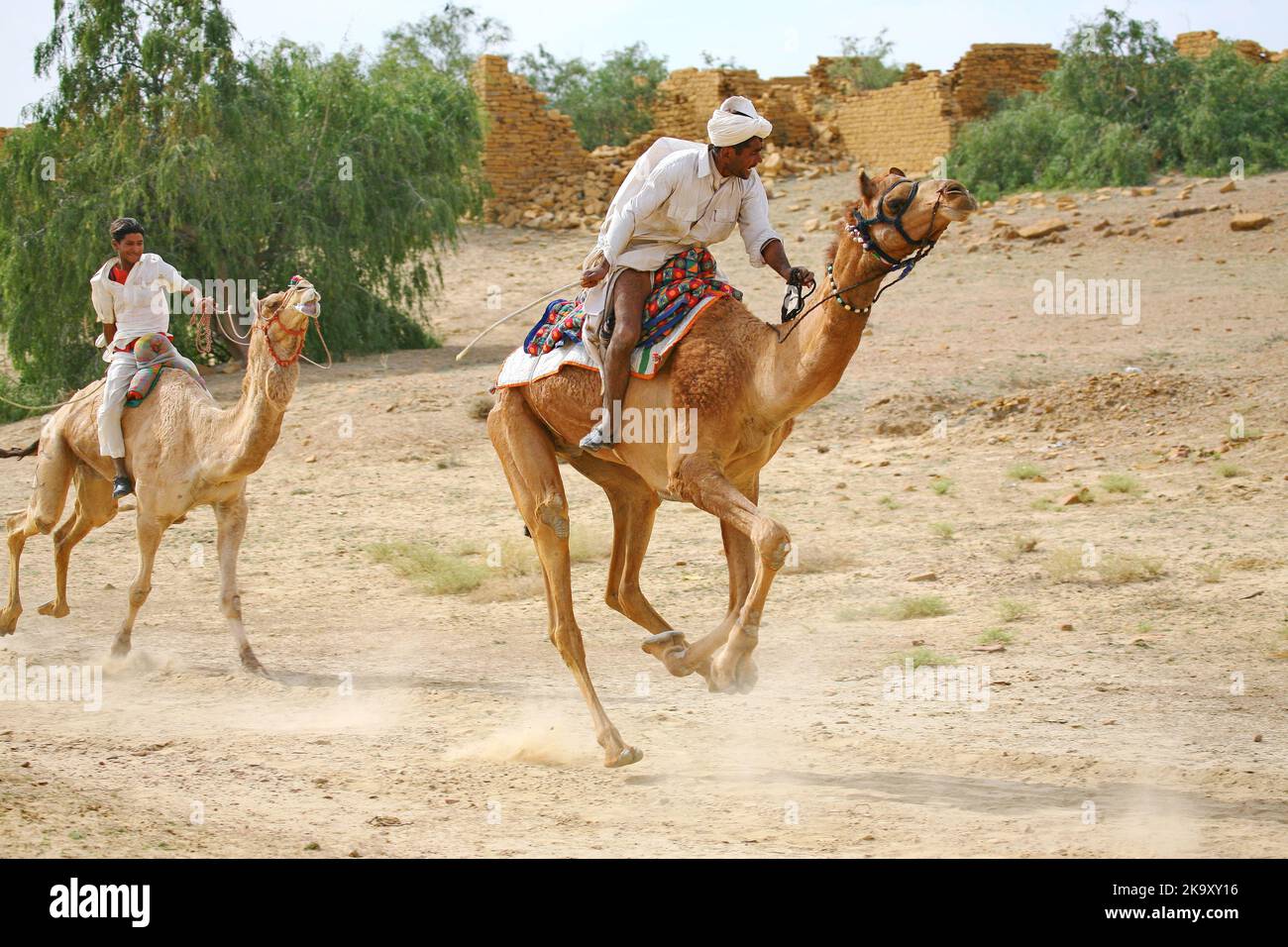 Camel race at Thar Desert Festival in Rajasthan, India Stock Photo - Alamy