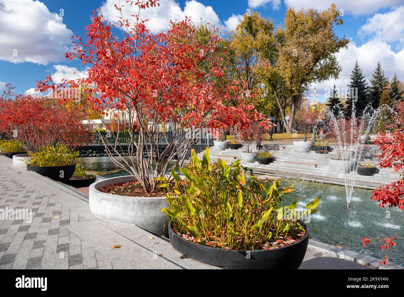 Fountains in Shevchenko City Garden with red autumn trees and lotus ...