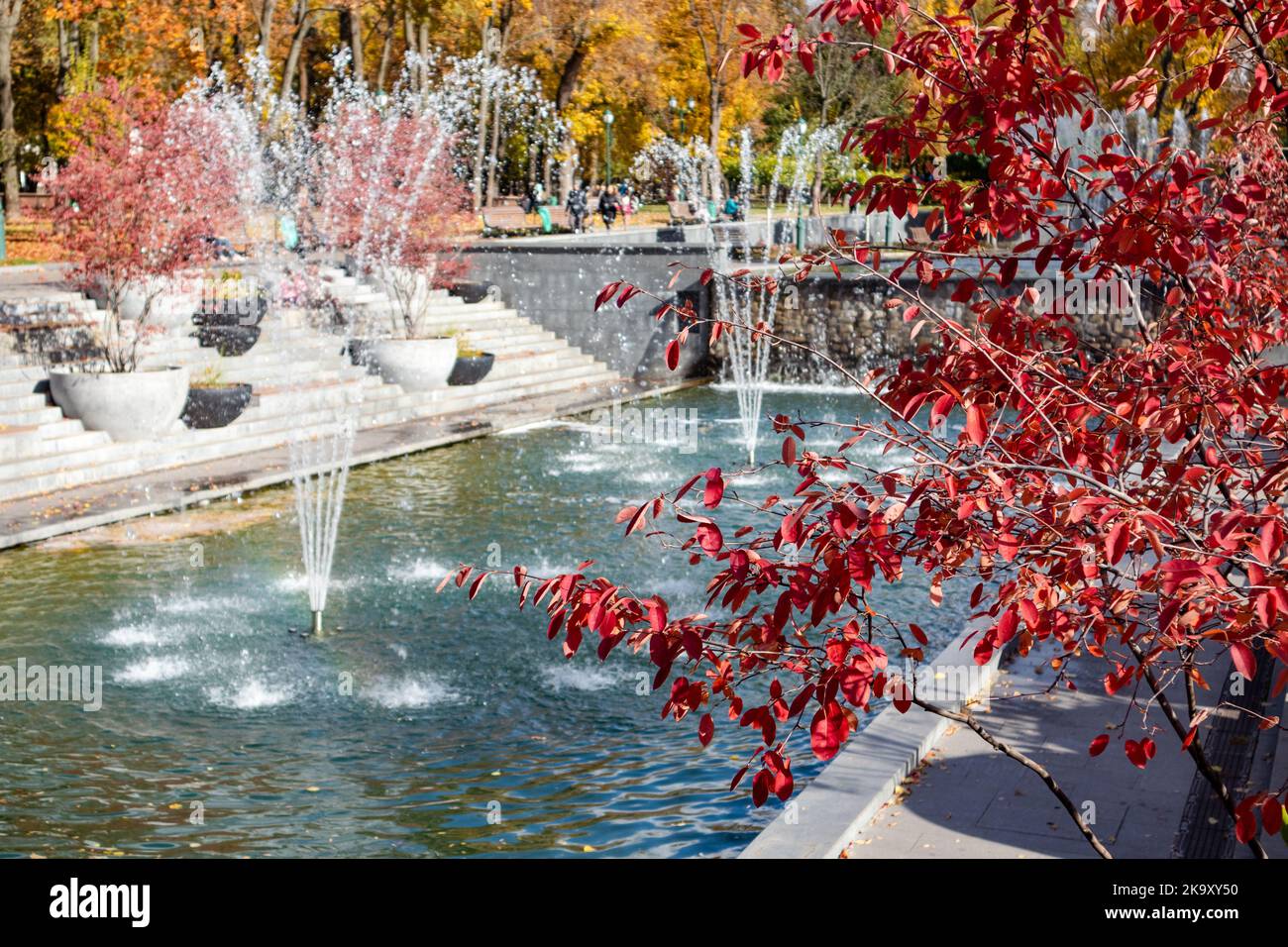 Red autumn trees and fountains in recreation area in Shevchenko City ...