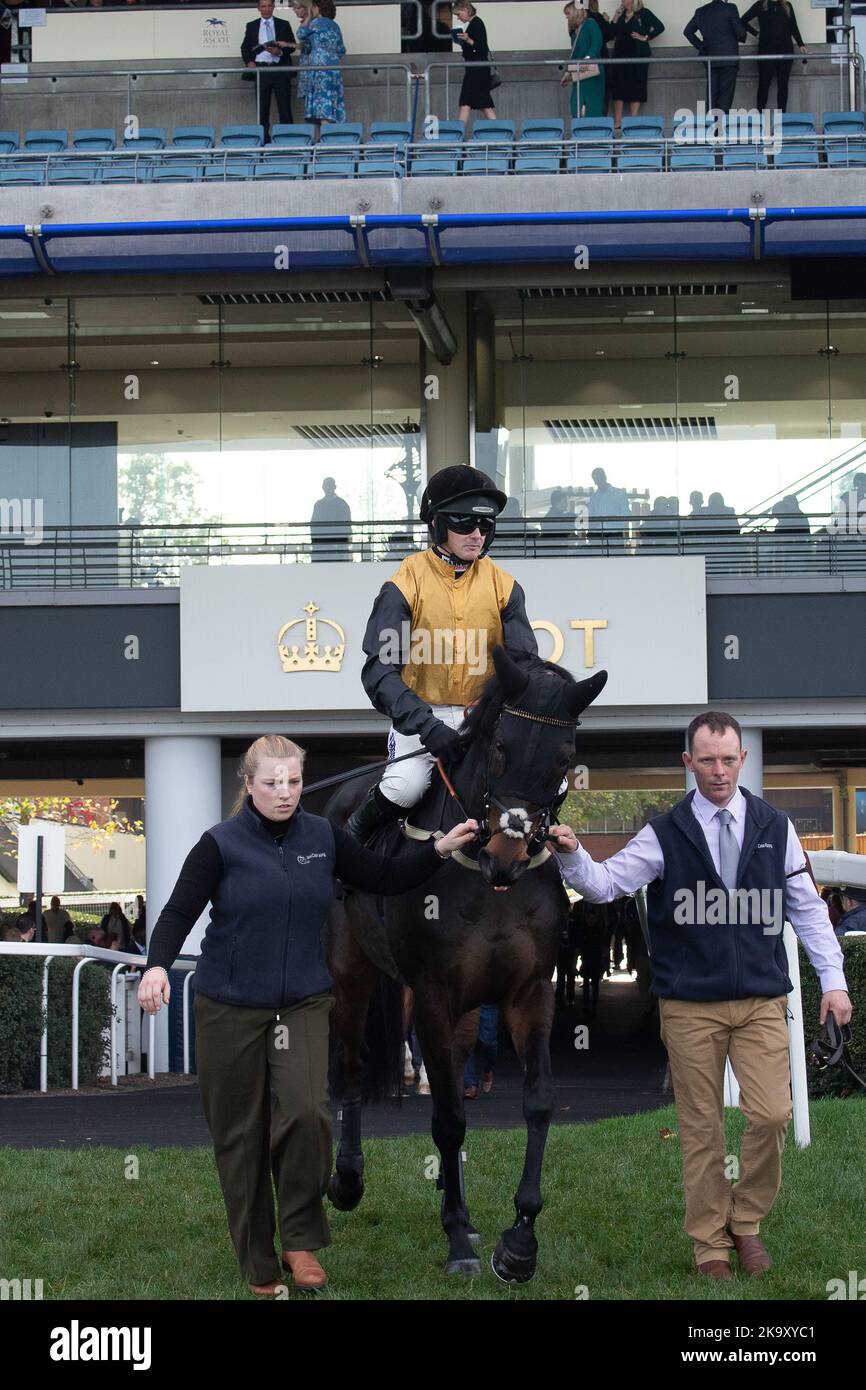 Ascot, Berkshire, UK. 29th October, 2022. Jockey Jack Quinlan riding ...