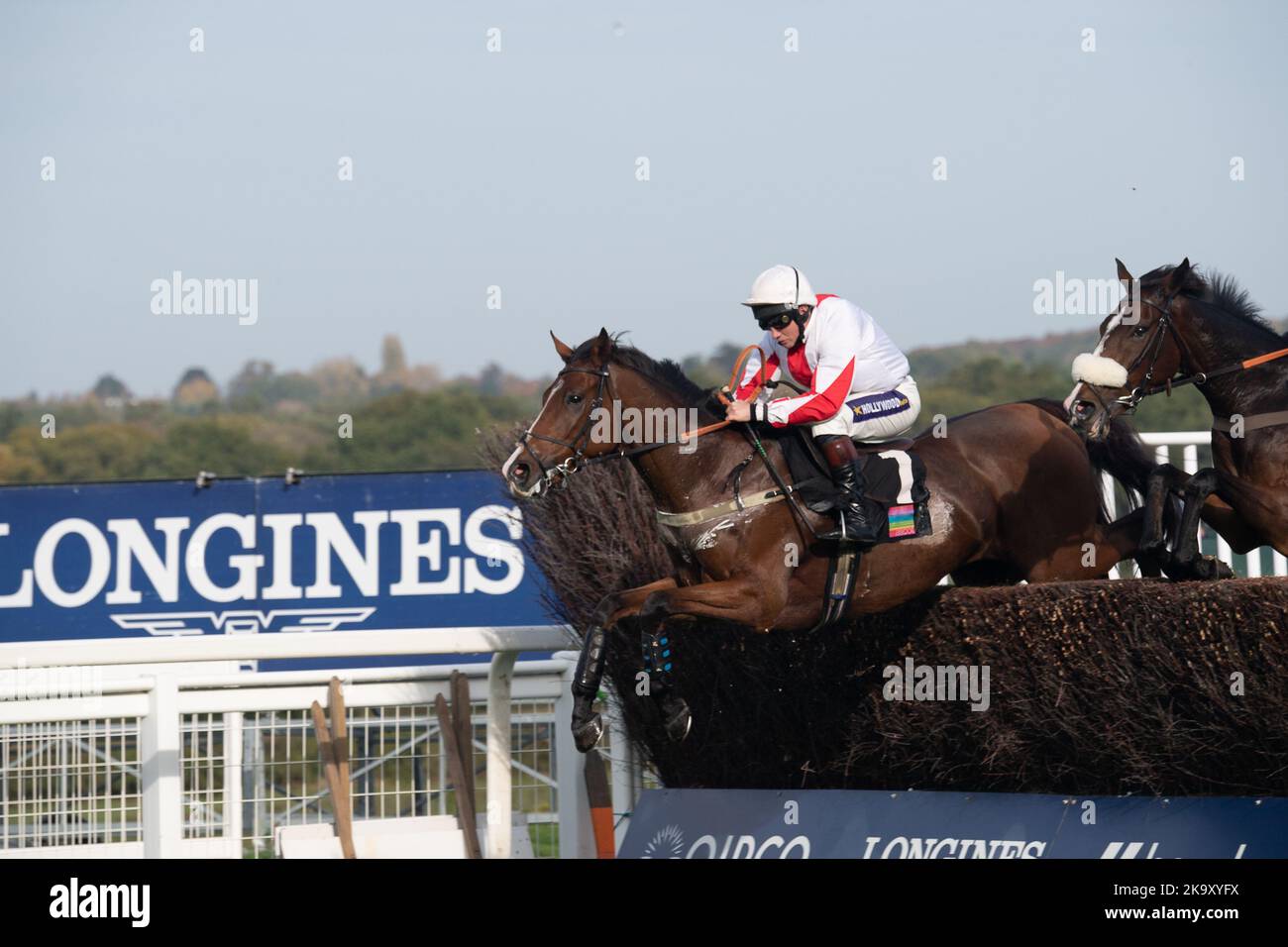Ascot, Berkshire, UK. 29th October, 2022. Favourite horse Goshen ridden ...