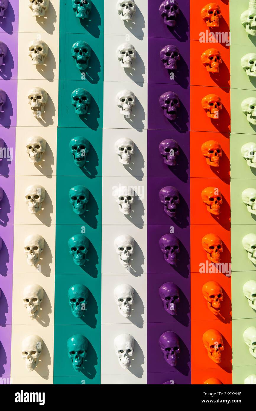 A collection of multi-colored skulls laid out in a line. Halloween ...