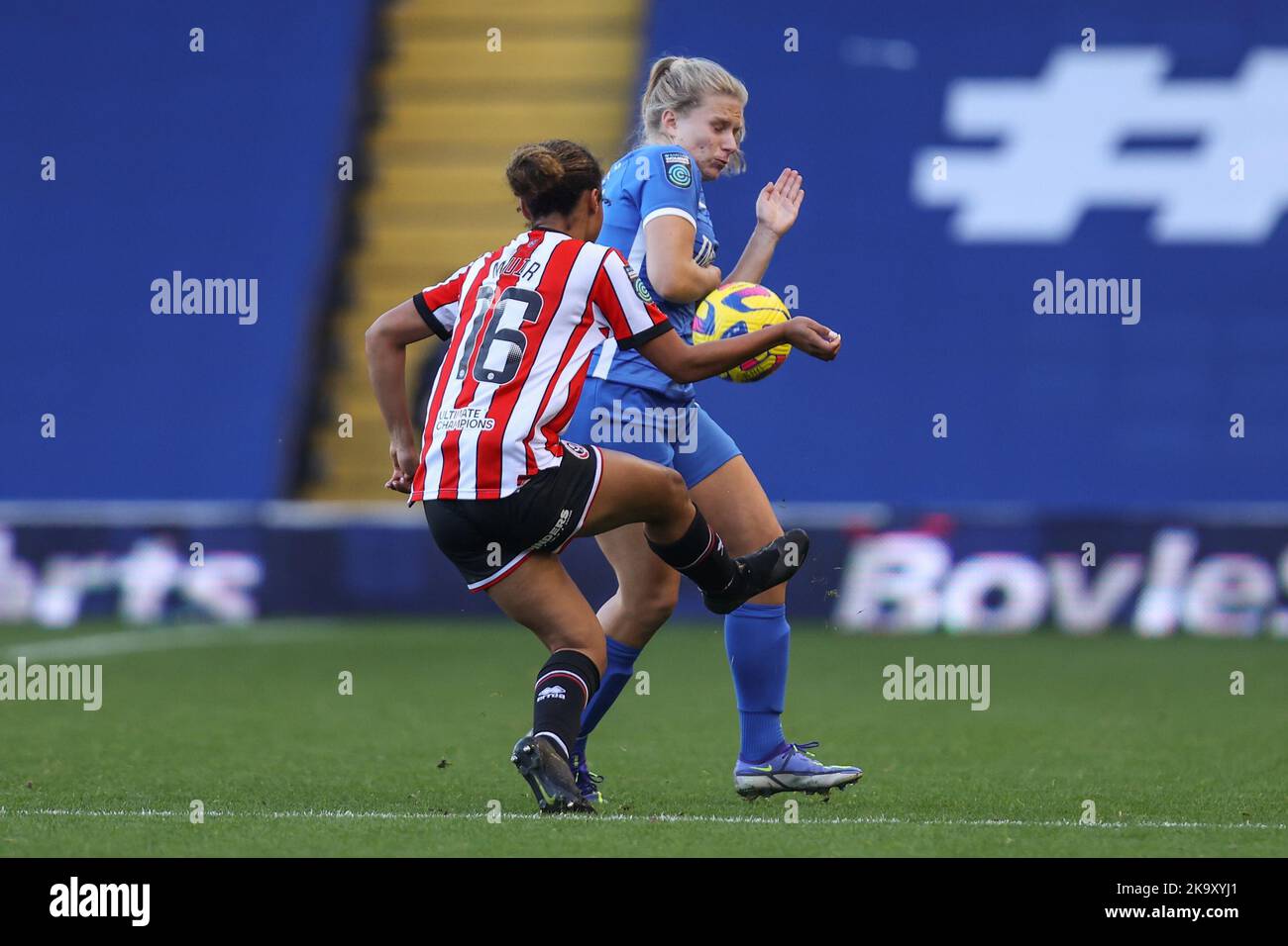 Chene muir hi-res stock photography and images - Alamy