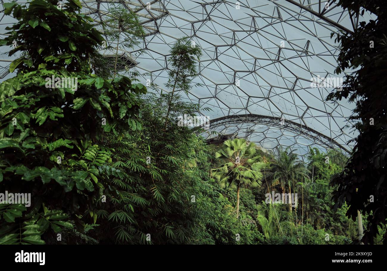 Inside the rainforest biome. One of several honeycomb shaped eco biomes ...