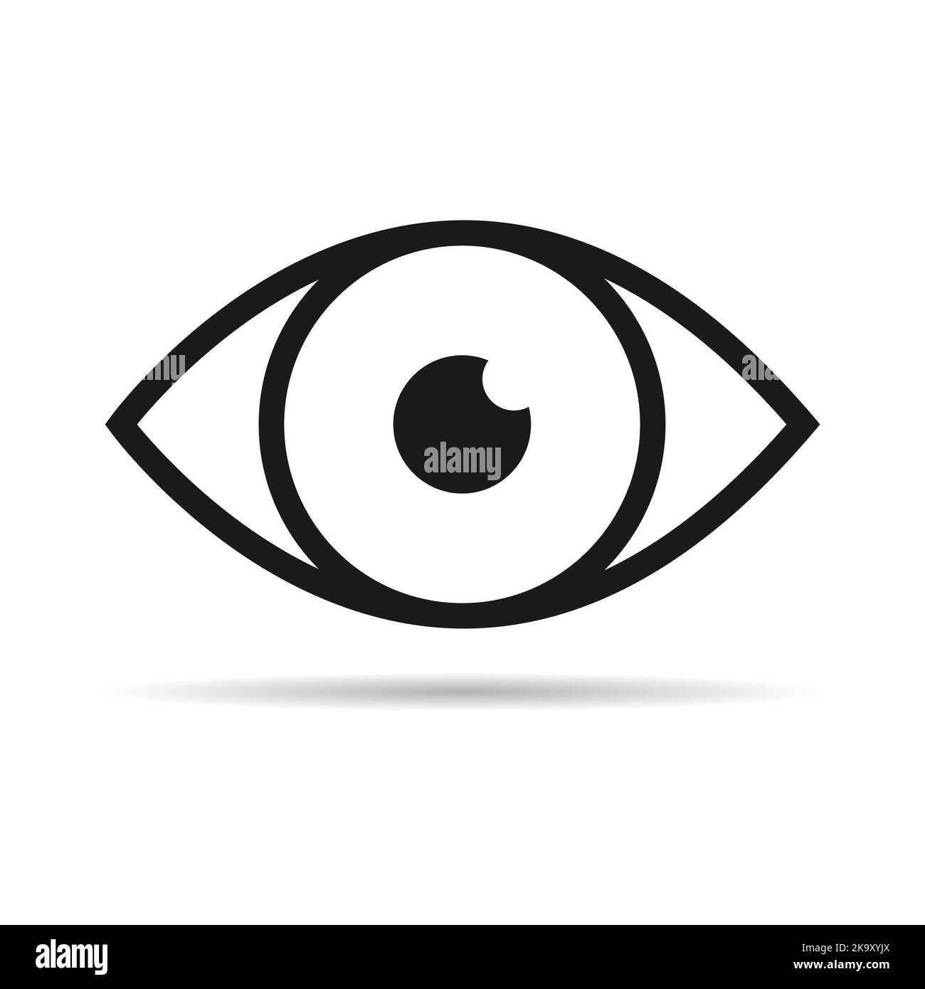 Human anatomy flat eye icon, sight health organ vector illustration ...