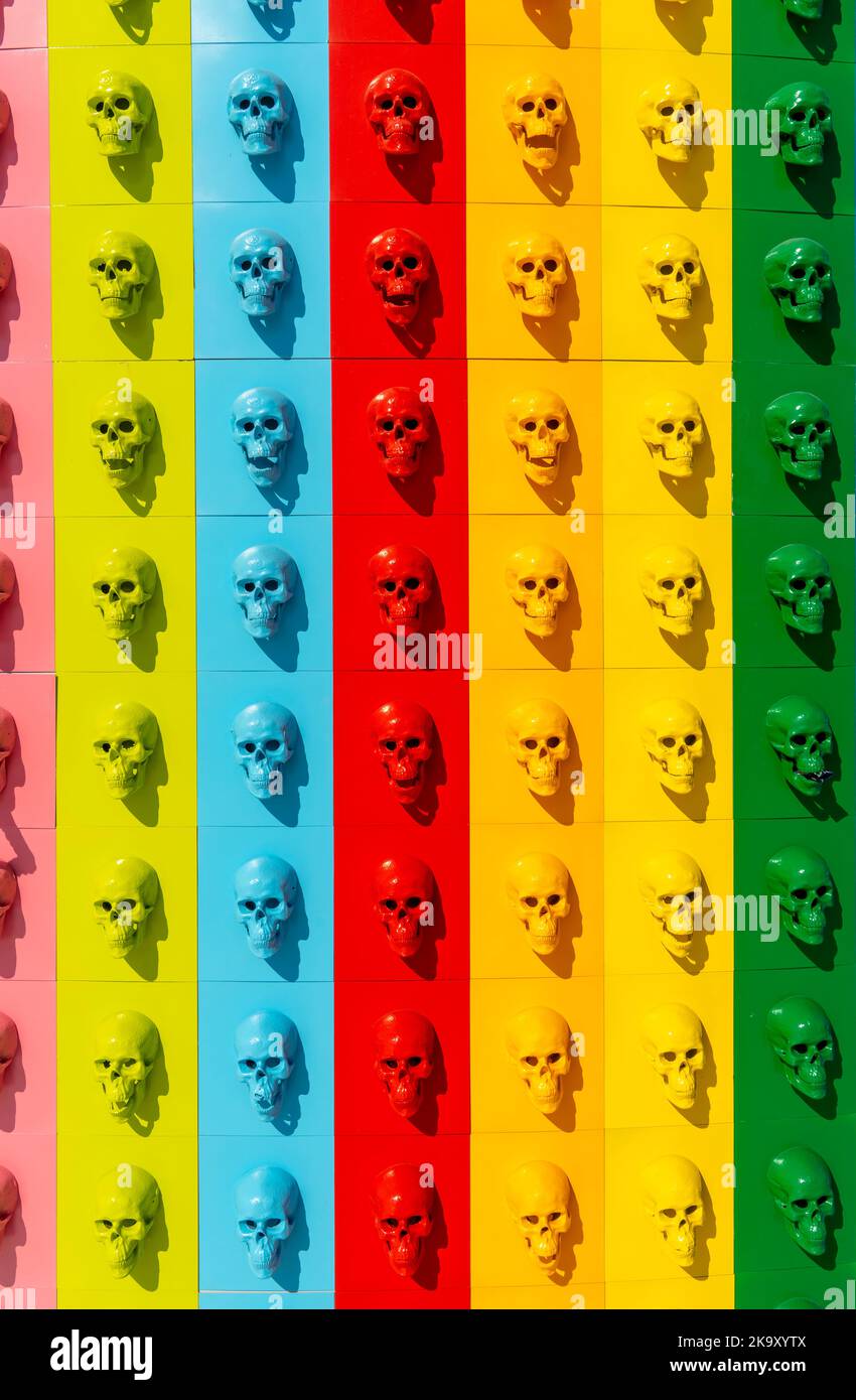 A collection of multi-colored skulls laid out in a line. Halloween ...