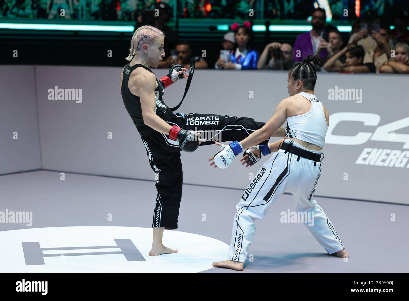 ORLANDO, FL - OCTOBER 29: Christina Kavakopoulou lands a kick during ...