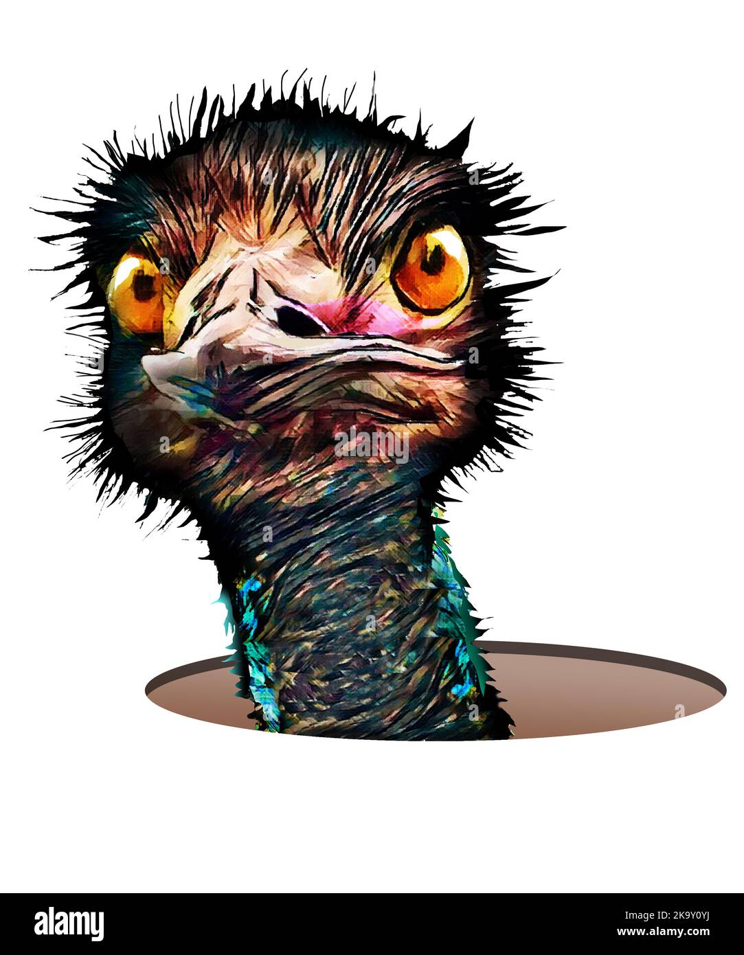 Funny looking emu birds poke their heads through openings in this 3-d ...