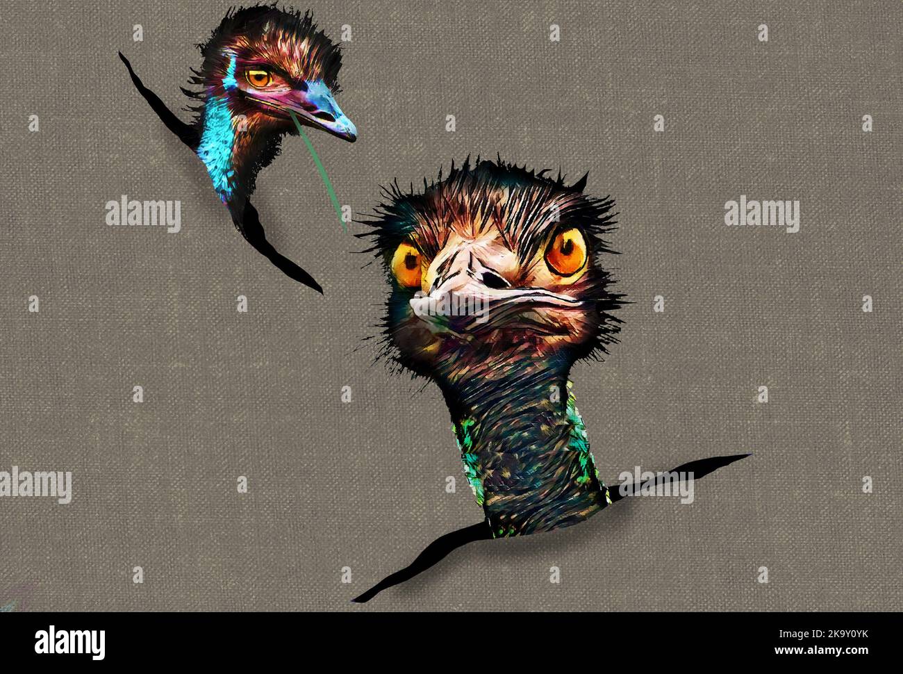 Funny looking emu birds poke their heads through openings in this 3-d ...