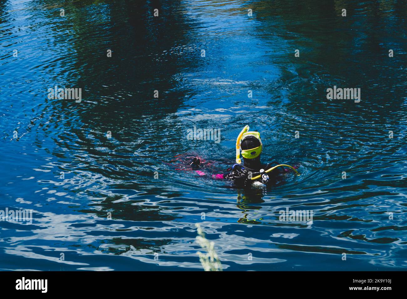 Divers in water. Study of river bottom. Search for missing people ...