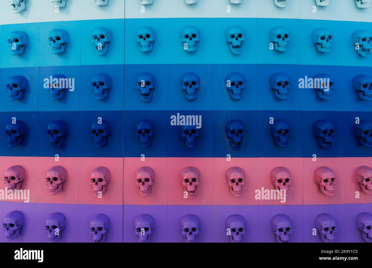 A collection of multi-colored skulls laid out in a line. Halloween ...