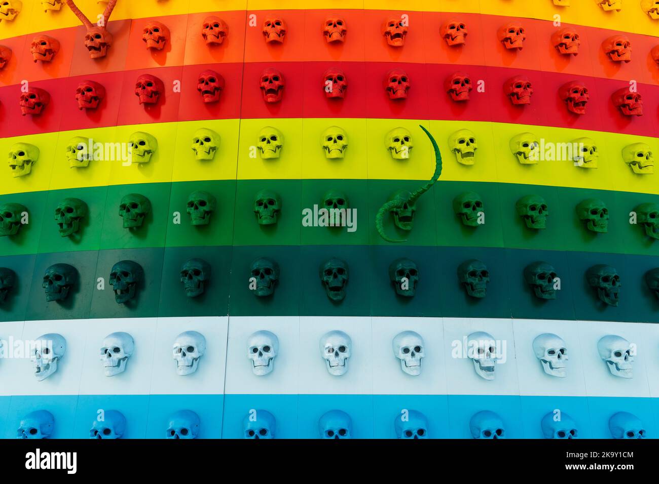 A collection of multi-colored skulls laid out in a line. Halloween ...