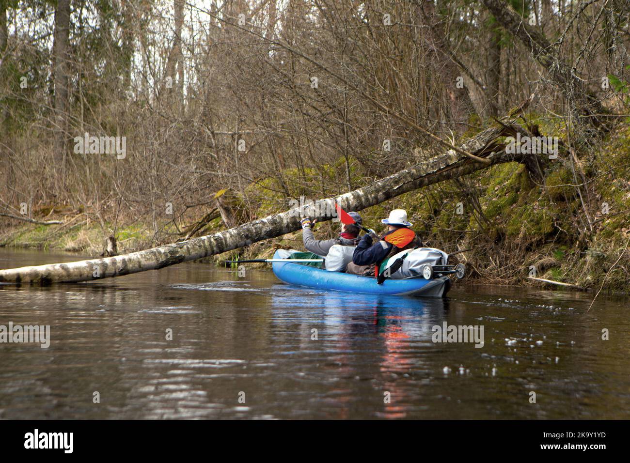 Two men is kayaking on the river Stock Photo - Alamy