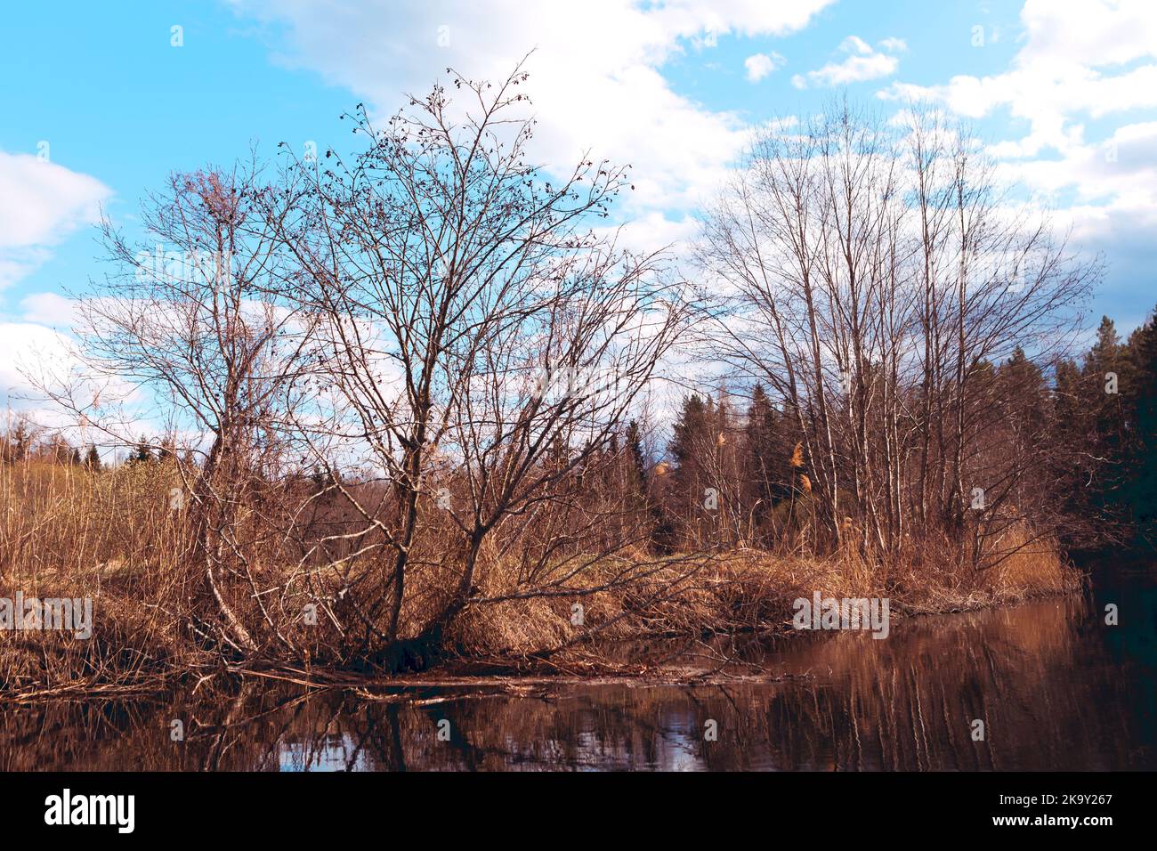 Beautiful spring landscape with river and forest. Ovsyanka river in ...