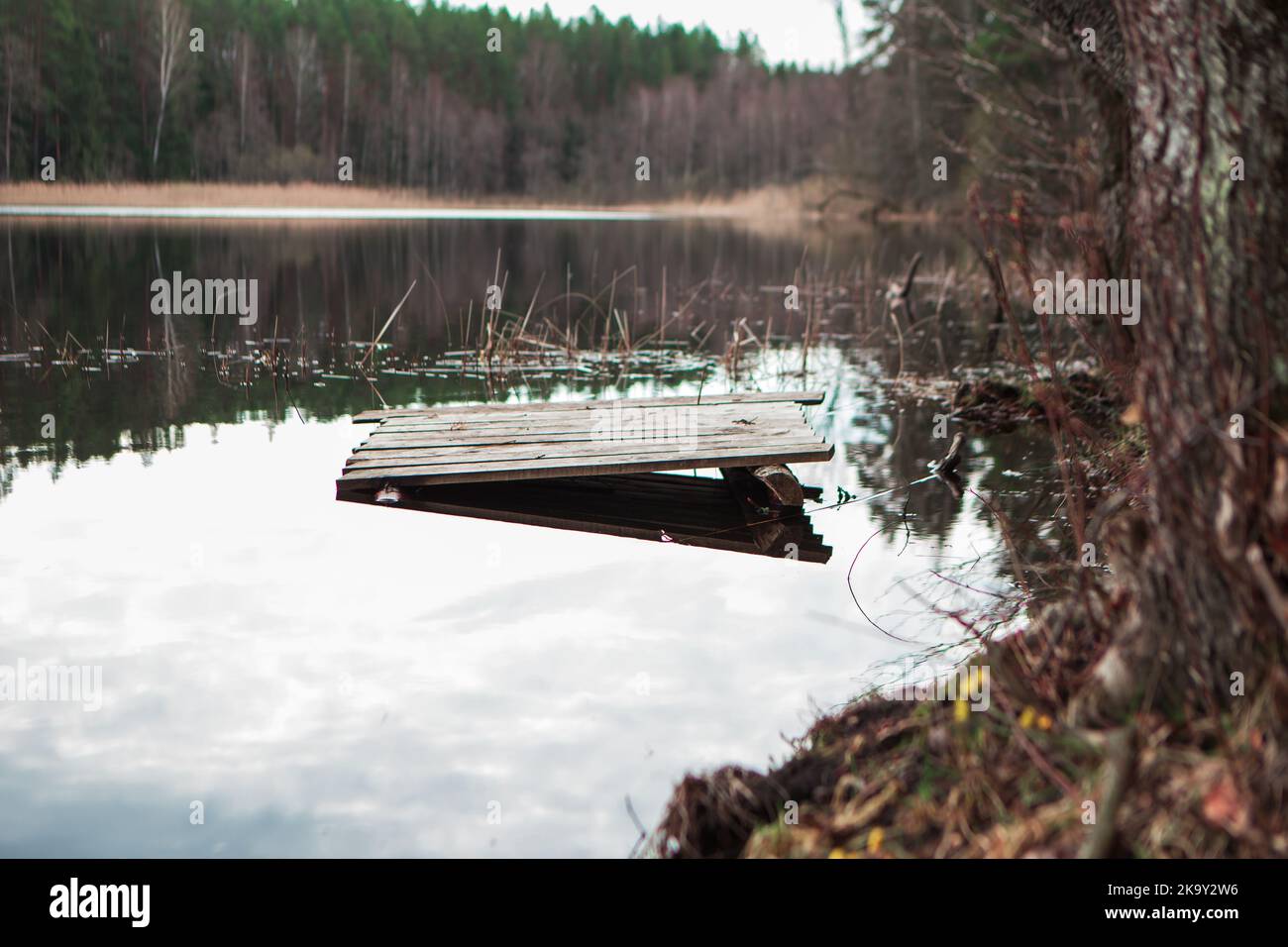 wooden raft on the river, spring background Stock Photo - Alamy