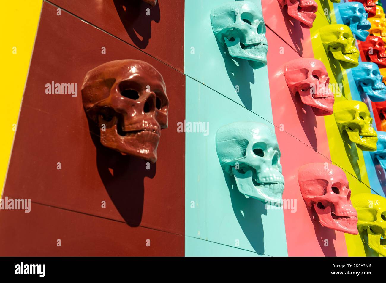 A collection of multi-colored skulls laid out in a line. Halloween ...