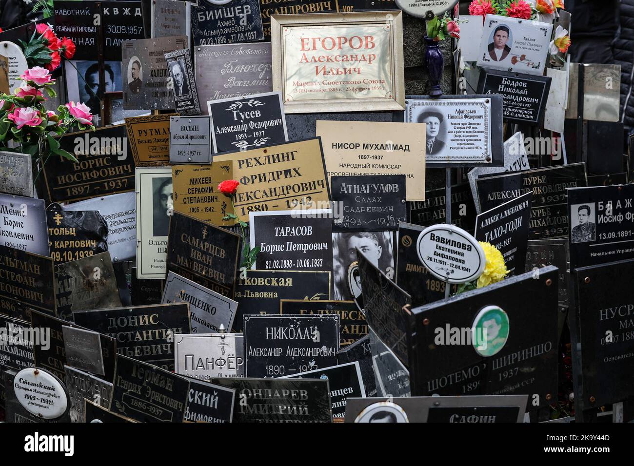 Memorial plaques at 'common grave no. 1' at the New Don Cemetery, next ...