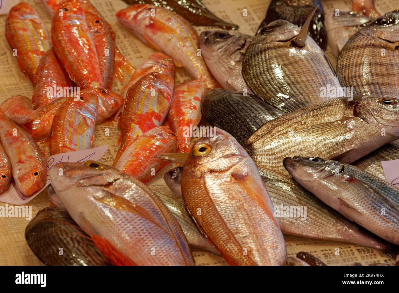 The Catania fish market is lively, boisterous, colorful, and gritty ...