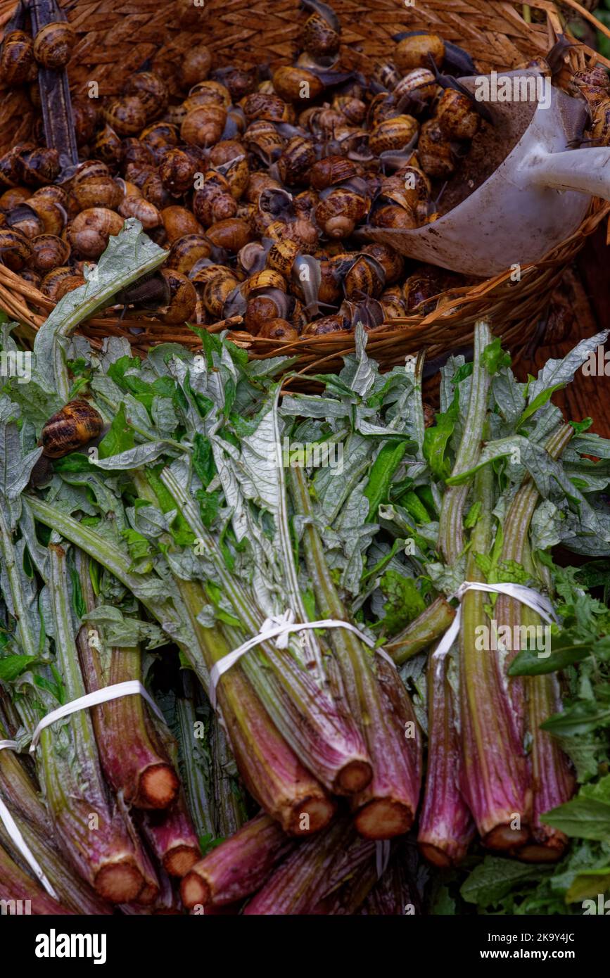 The Catania fish market is lively, boisterous, colorful, and gritty ...