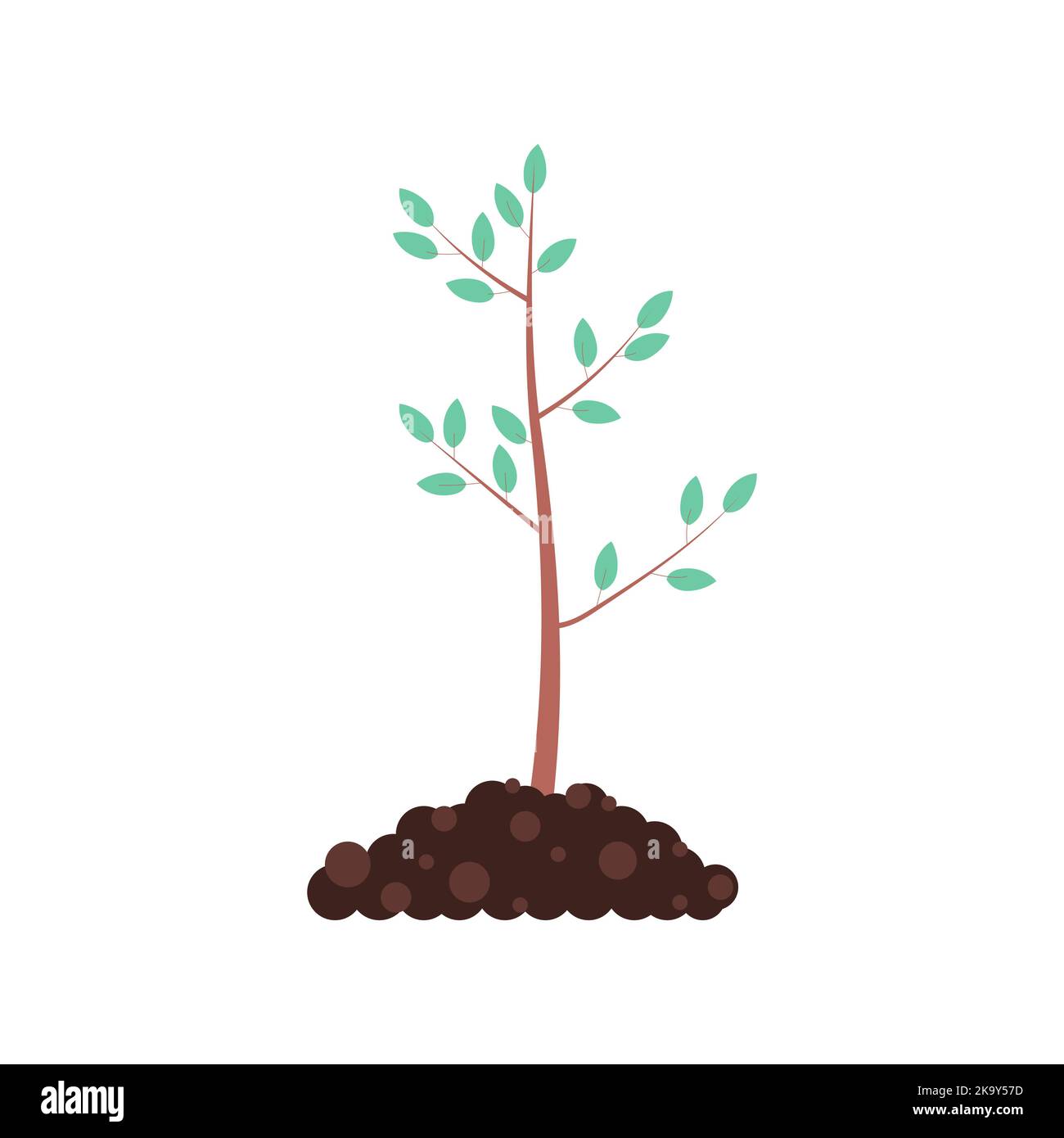 A freshly planted tree. The concept of forest conservation Stock Vector ...