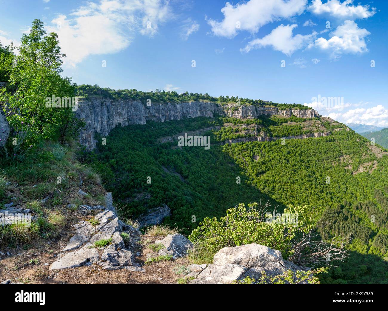Mountain ridge, green forest, landscape near Zanoge village, Balkan ...