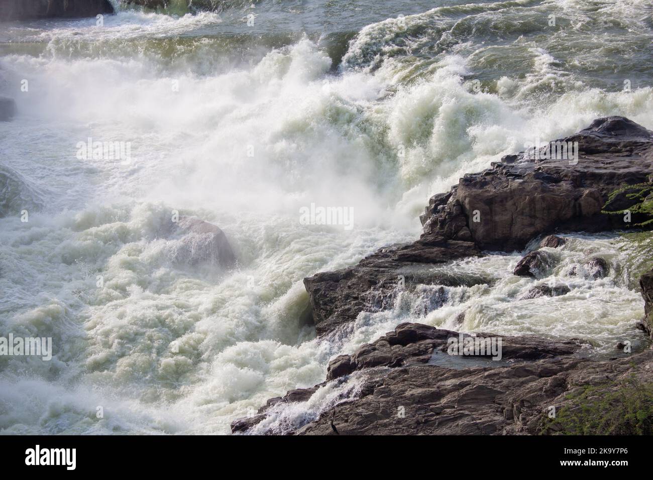 View of gushing water released into kaveri river from the Mettur dam ...