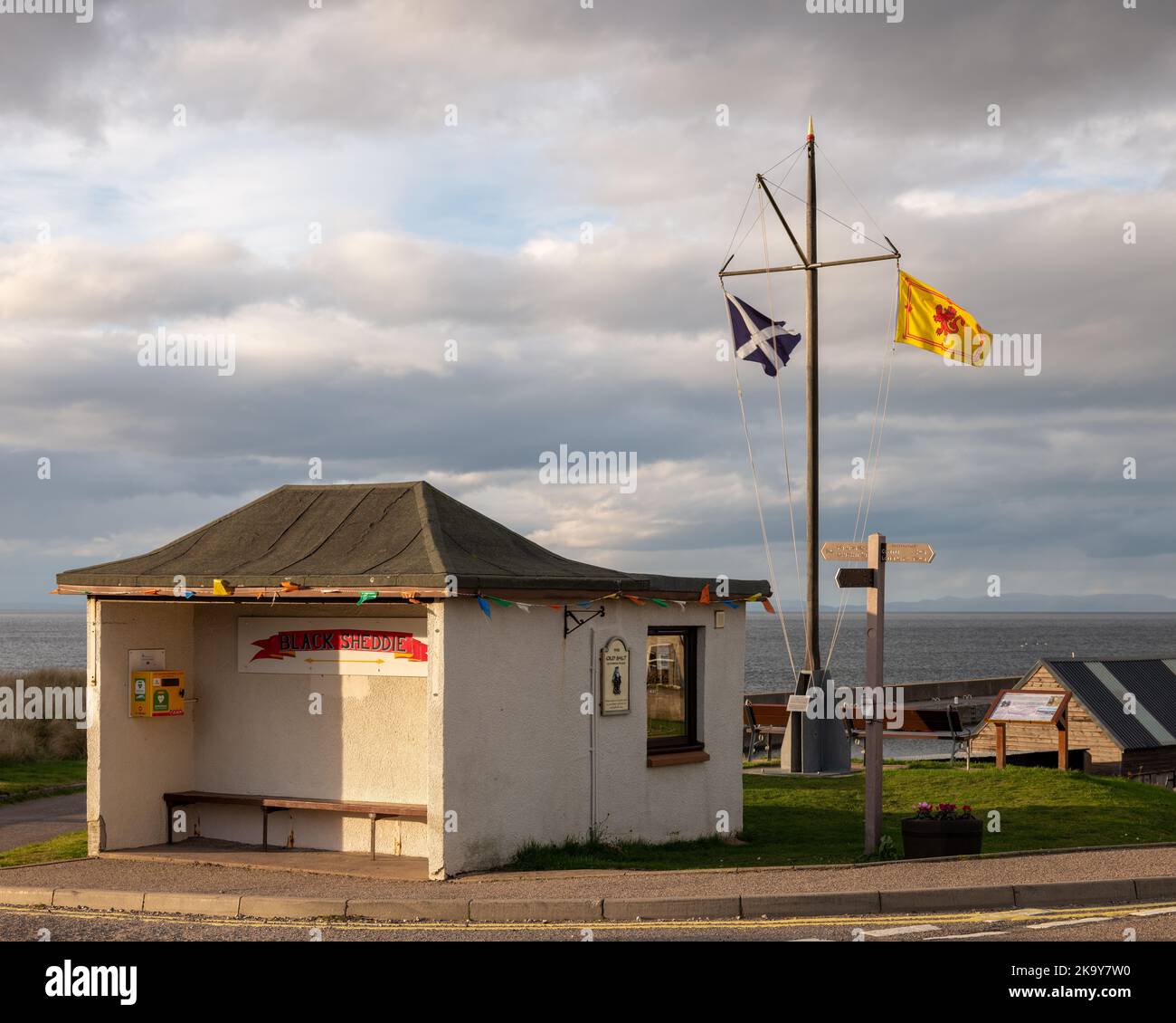 Sheddie hi-res stock photography and images - Alamy