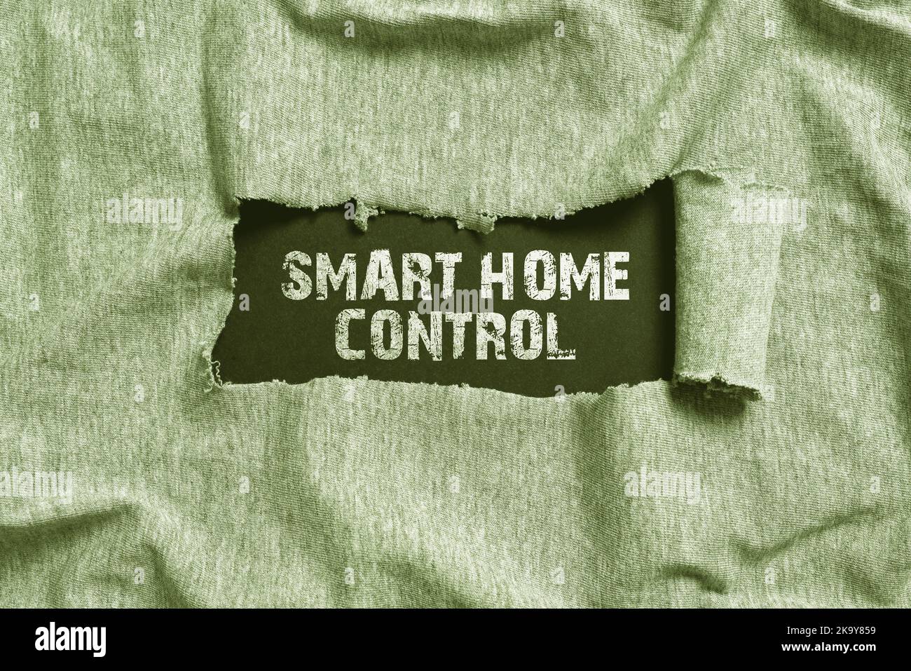 Inspiration showing sign Smart Home Control. Business showcase Internet ...