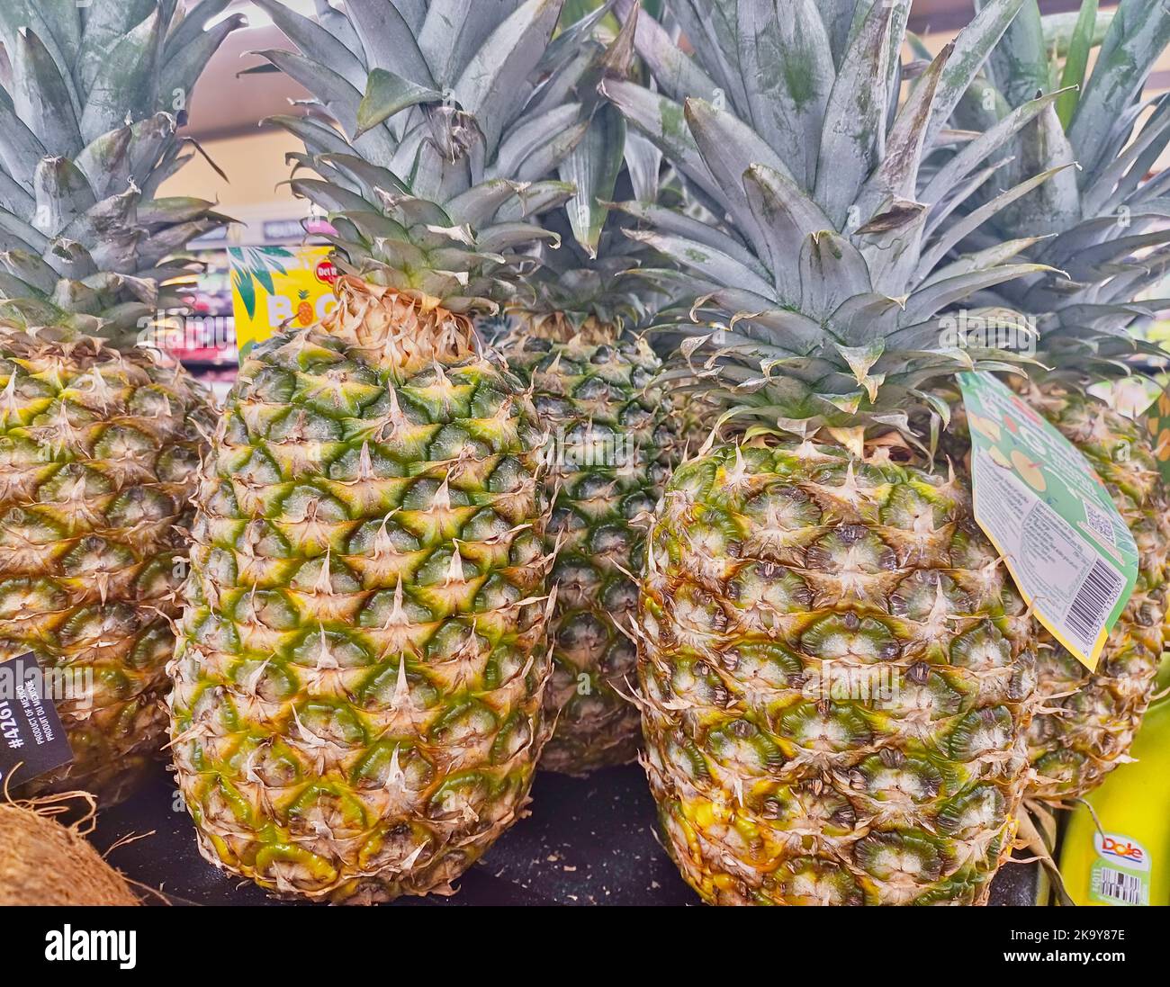 Fruit label garden plant name hi-res stock photography and images - Alamy