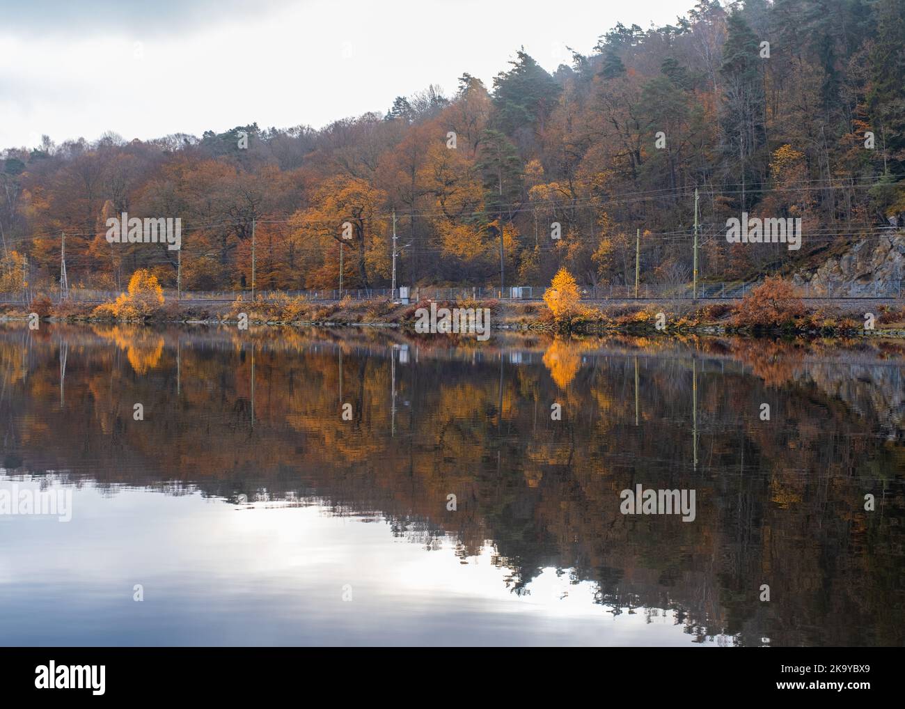Colorful tree reflected in lake aspen at jonsered , gothenburg sweden ...
